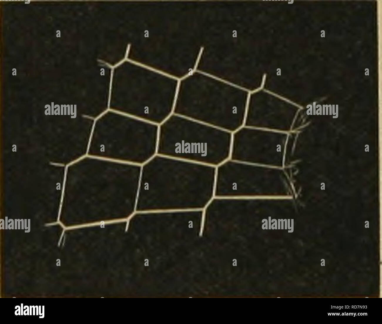 . American spiders and their spinning work. A natural history of the ...