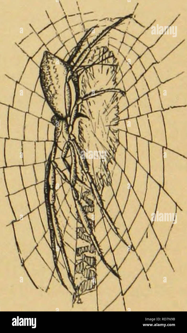 Which provided even motion hi-res stock photography and images - Alamy