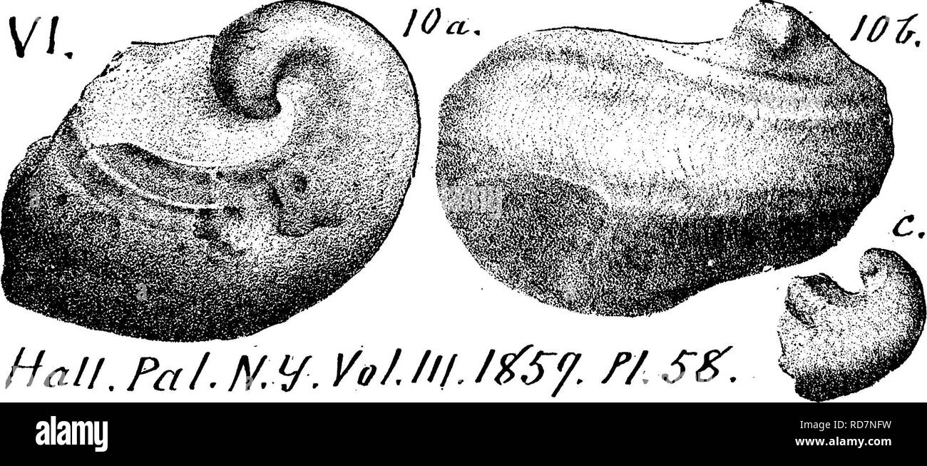 Shaley hi-res stock photography and images - Alamy