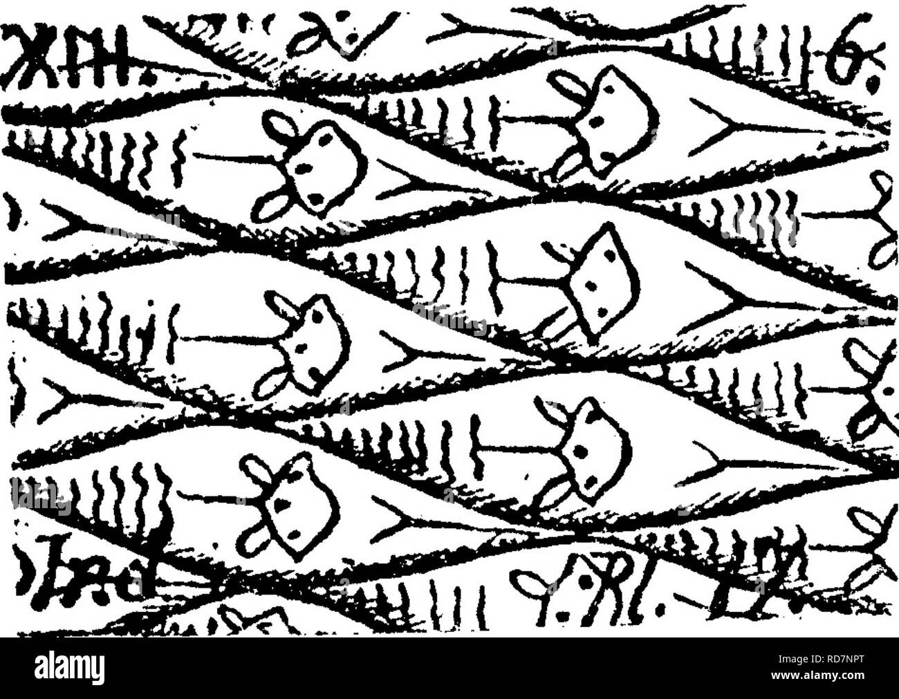 Tioga mine hi-res stock photography and images - Alamy