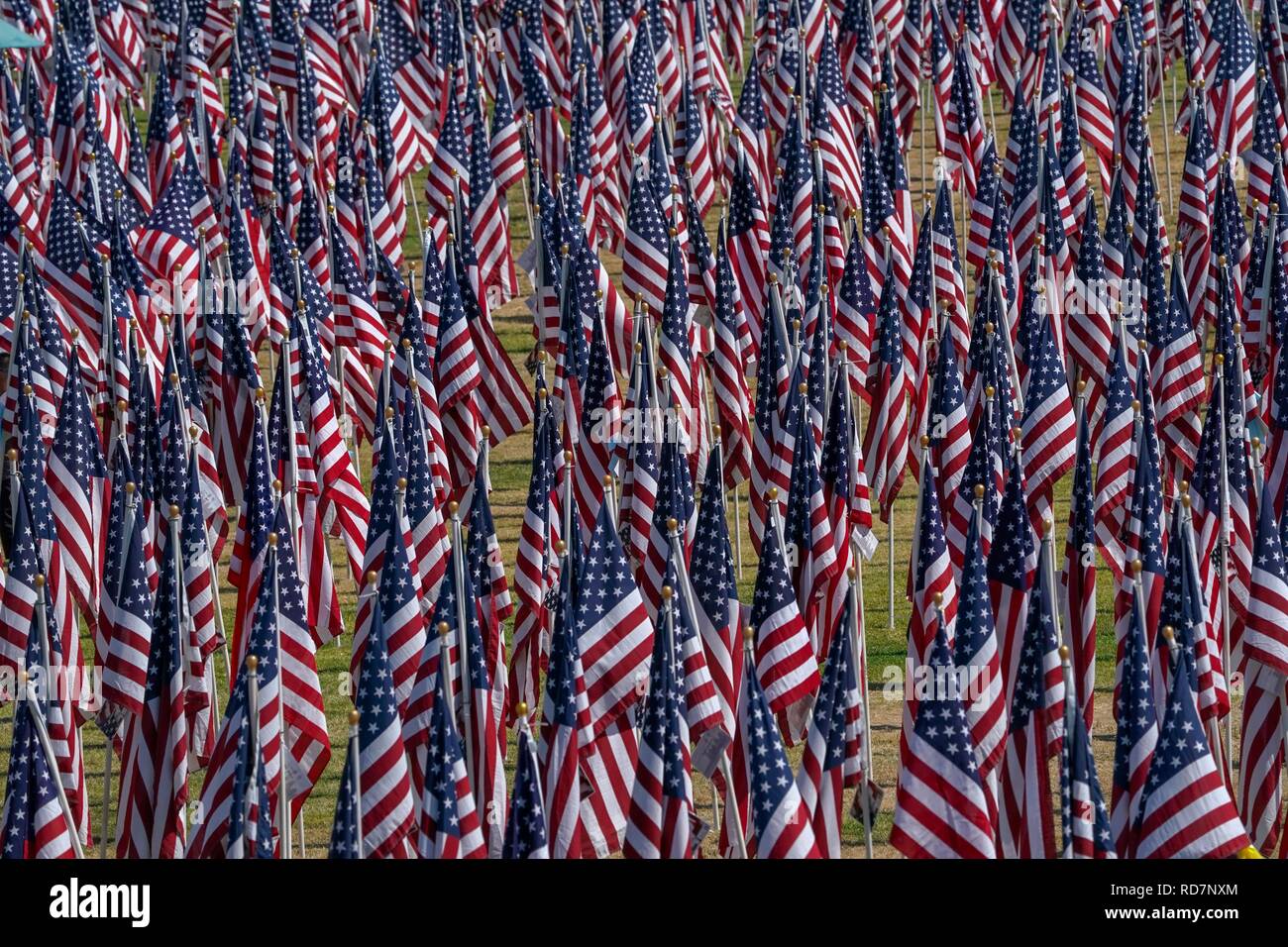 In Tempe, Arizona is the Healing Field where aa flag is placed In honor ...