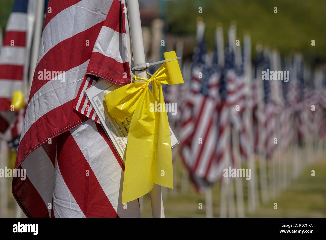 In Tempe, Arizona is the Healing Field where aa flag is placed In honor ...