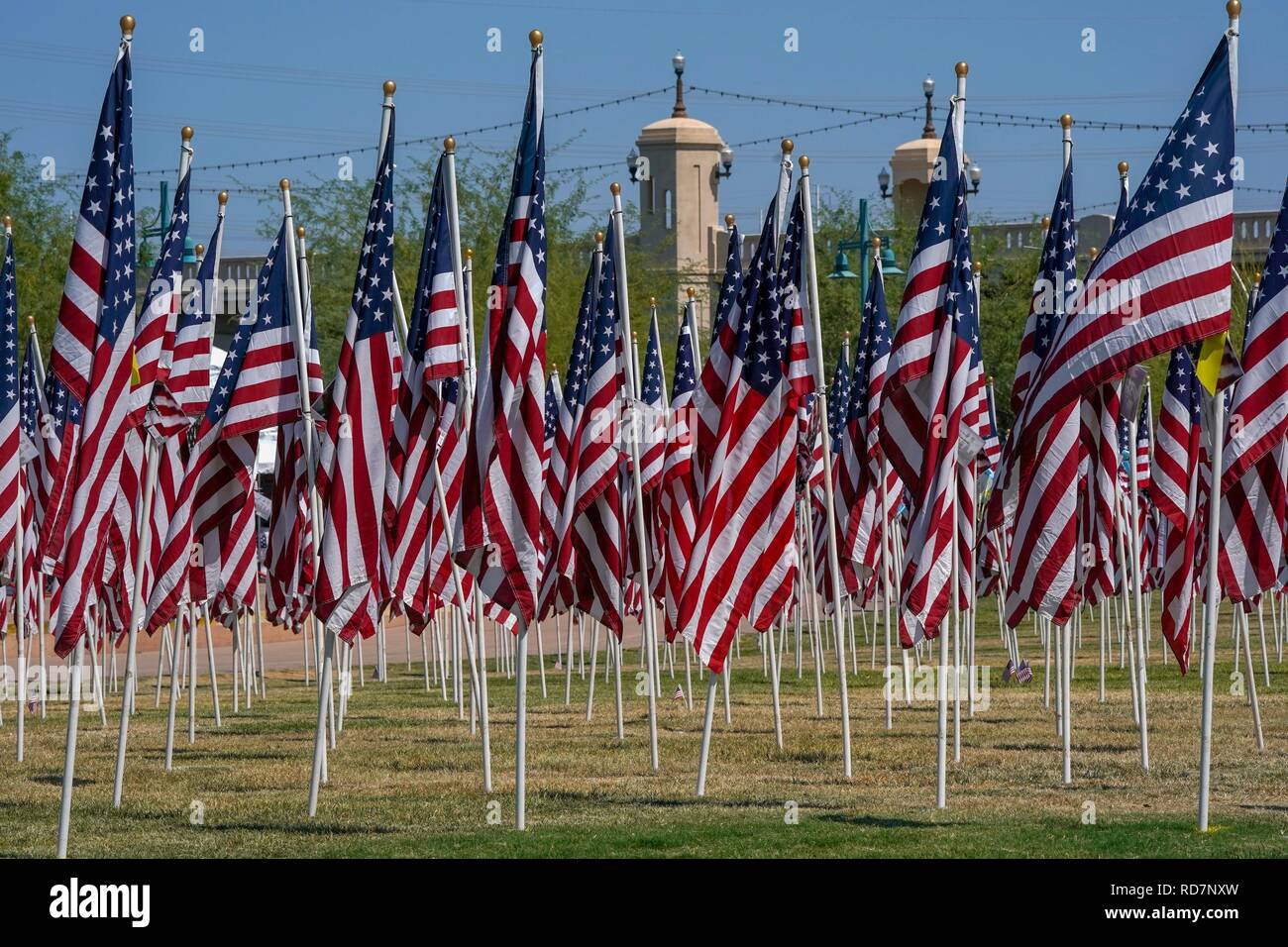 In Tempe, Arizona is the Healing Field where aa flag is placed In honor ...