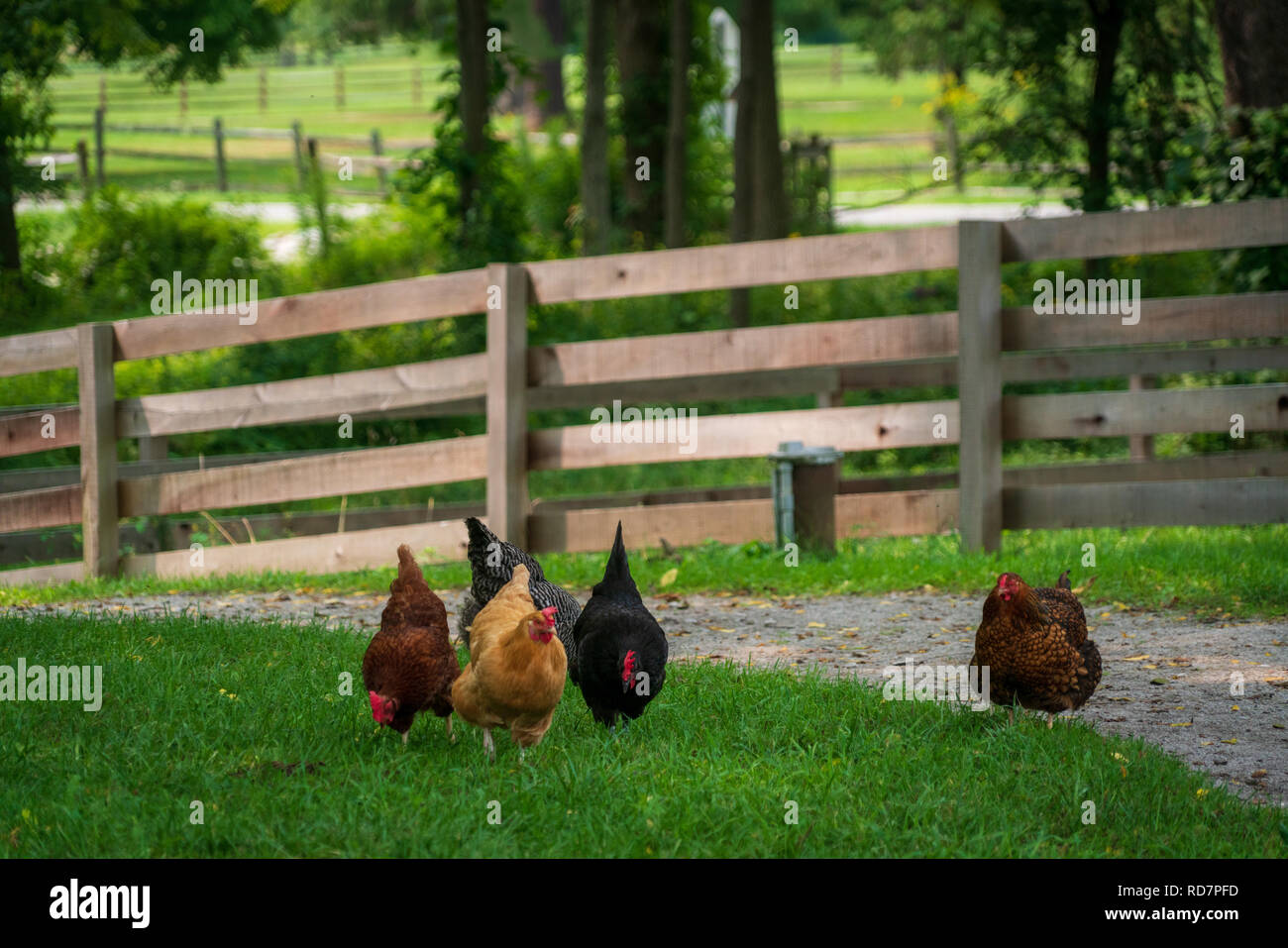 The historic Hale Farm Village in Ohio's only National Park, Cuyahoga ...