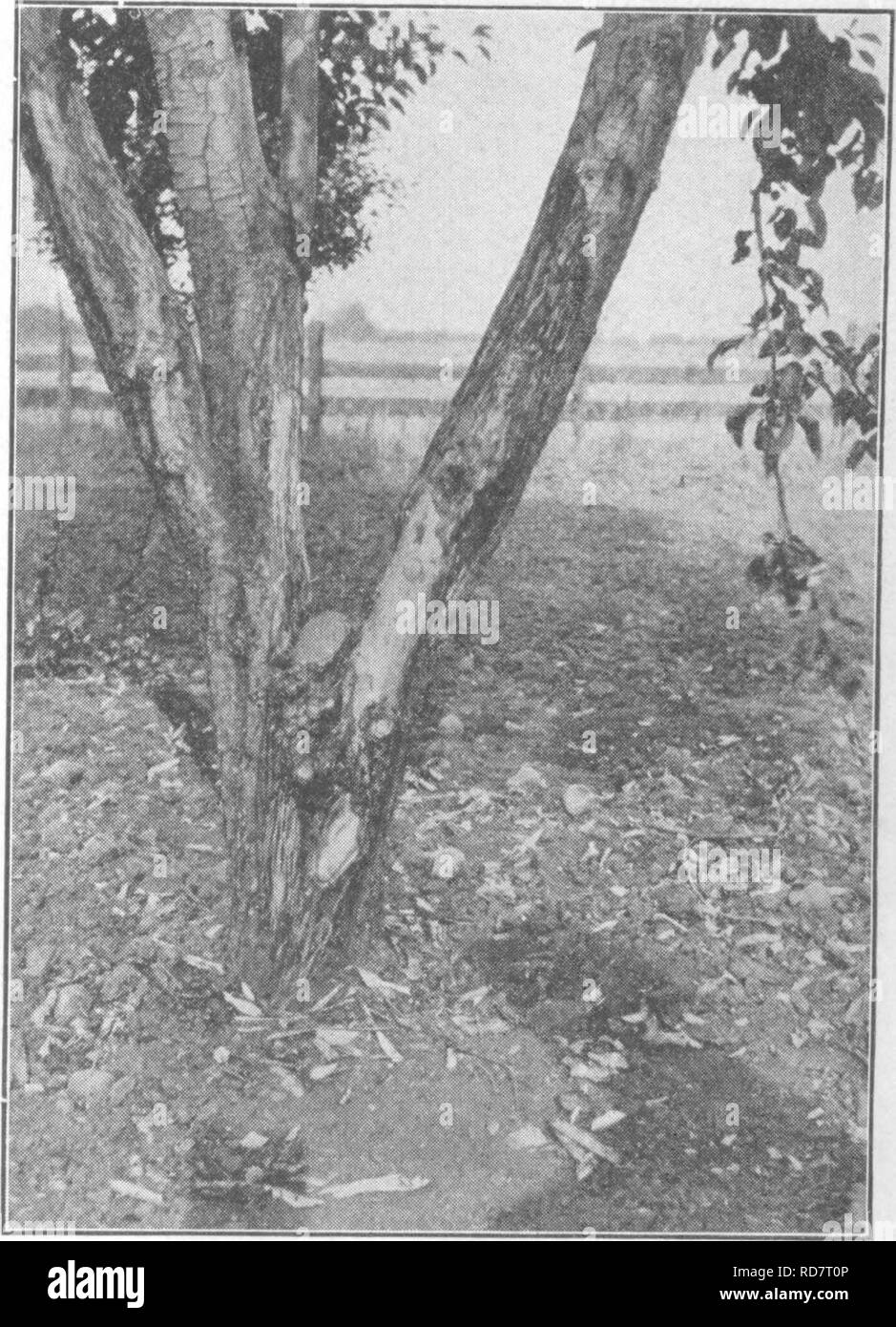 000 mr waite hi-res stock photography and images - Alamy