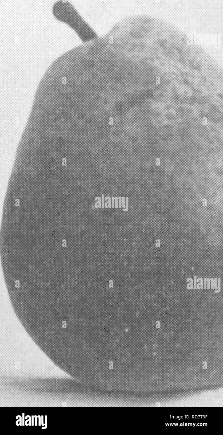 . The encyclopedia of practical horticulture; a reference system of ...