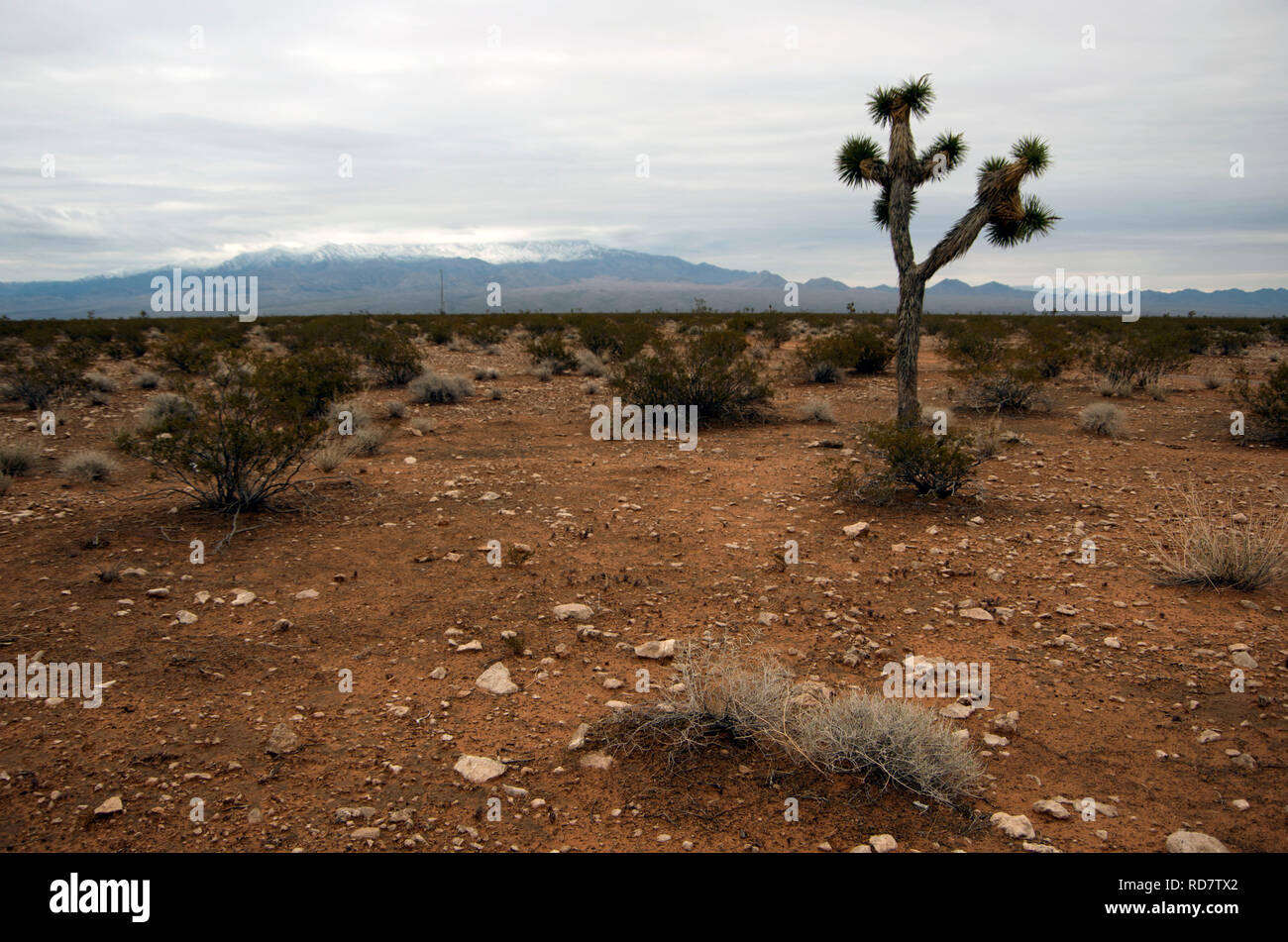 The desert between Las Vegas, NV and St. George, UT, is lonely and ...
