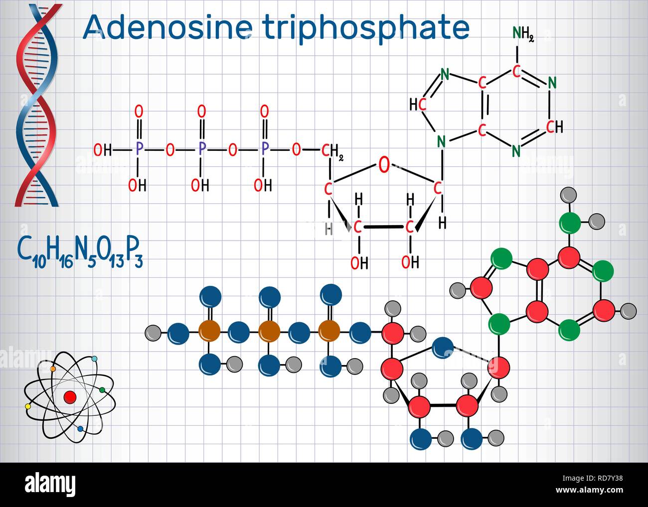 Adenosine triphosphate (ATP) molecule , is intracellular energy ... Adenosine triphosphate (ATP) molecule , is intracellular energy ...