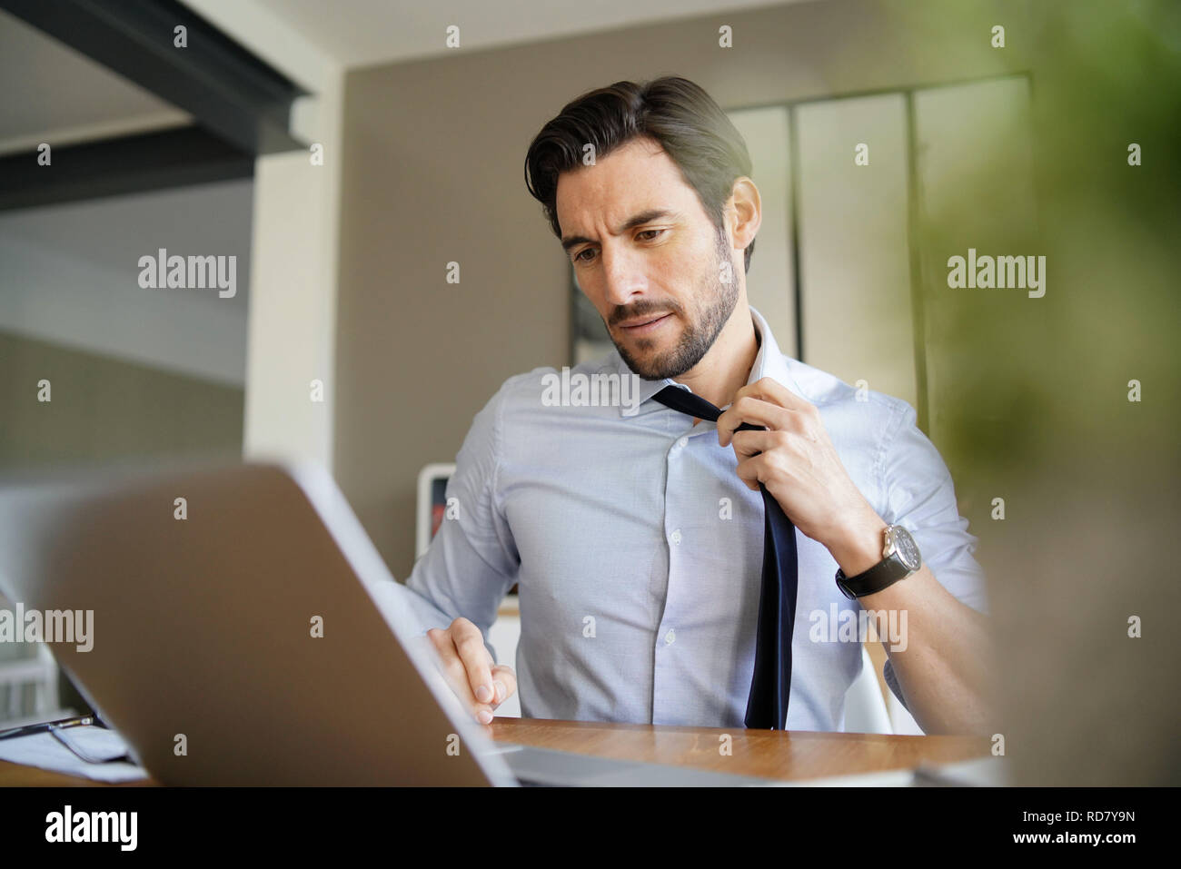 Undoing tie hi-res stock photography and images - Alamy