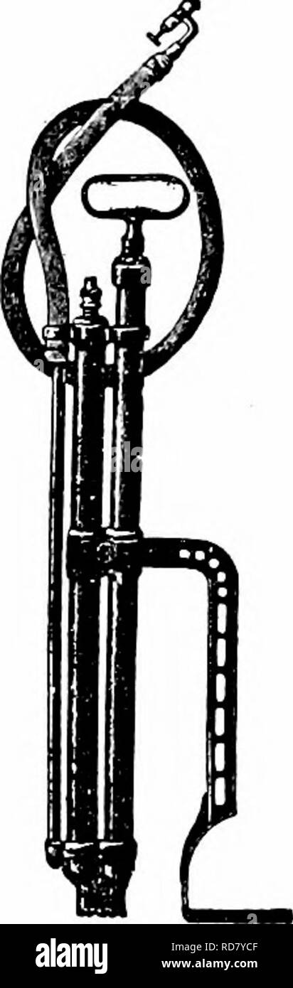 Pest fungus Black and White Stock Photos & Images - Alamy