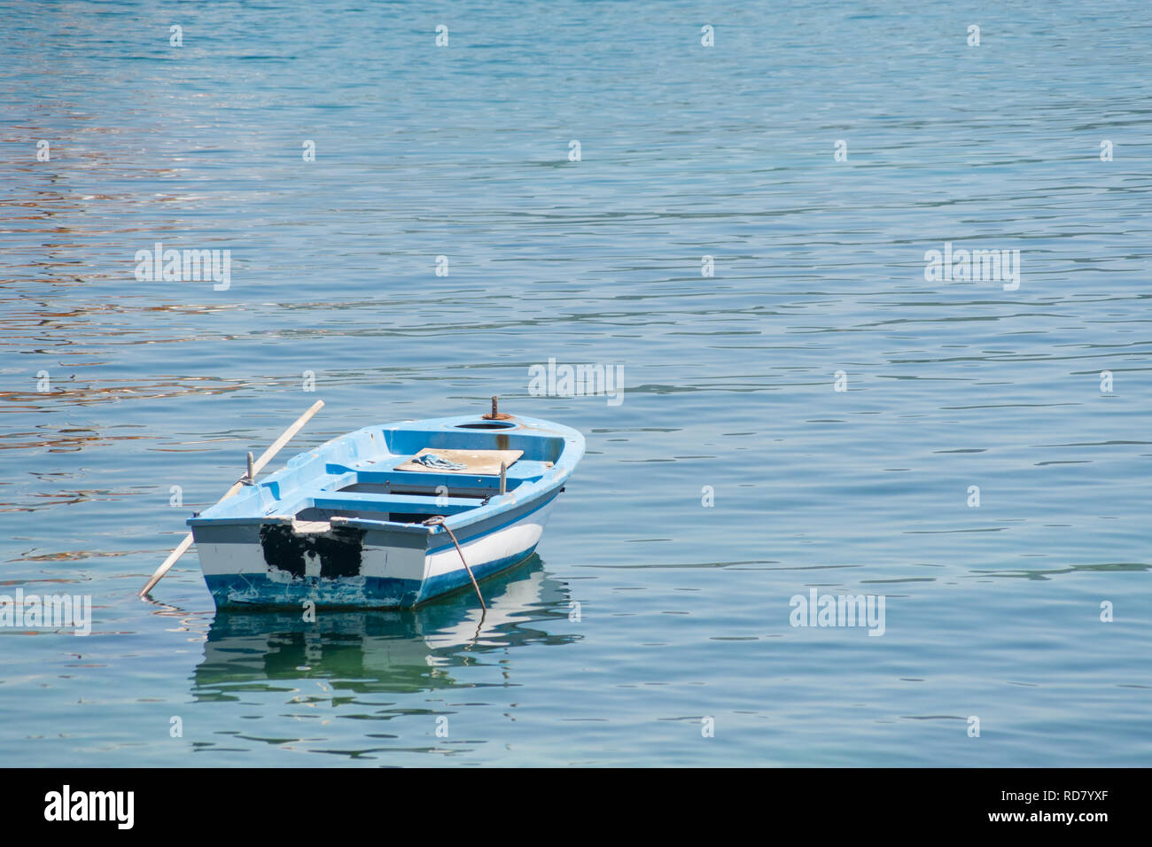 Small white blue boat with paddles anchored on the shore Stock Photo ...