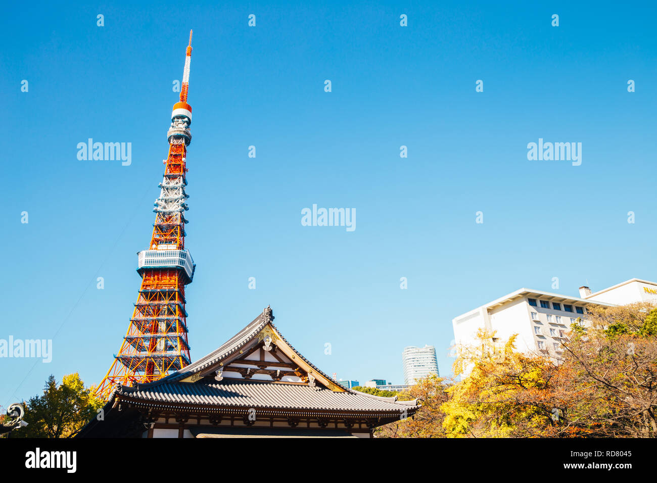 Zojoji Temple and Tokyo tower at autumn in Tokyo, Japan Stock Photo - Alamy