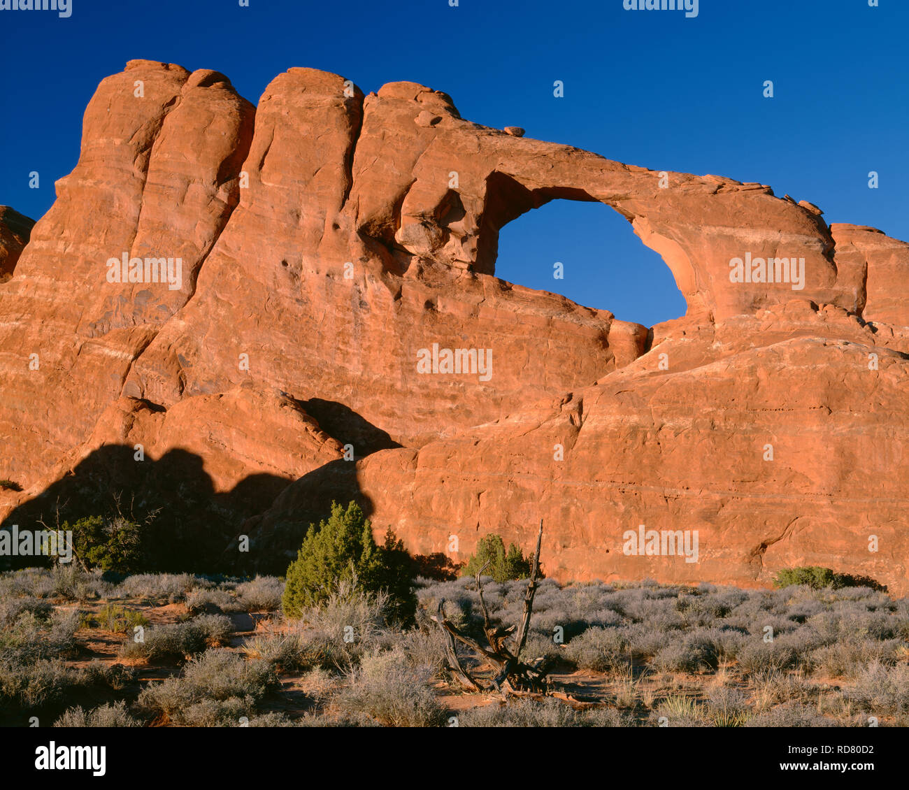 Skyline arch sunset desert hi-res stock photography and images - Alamy