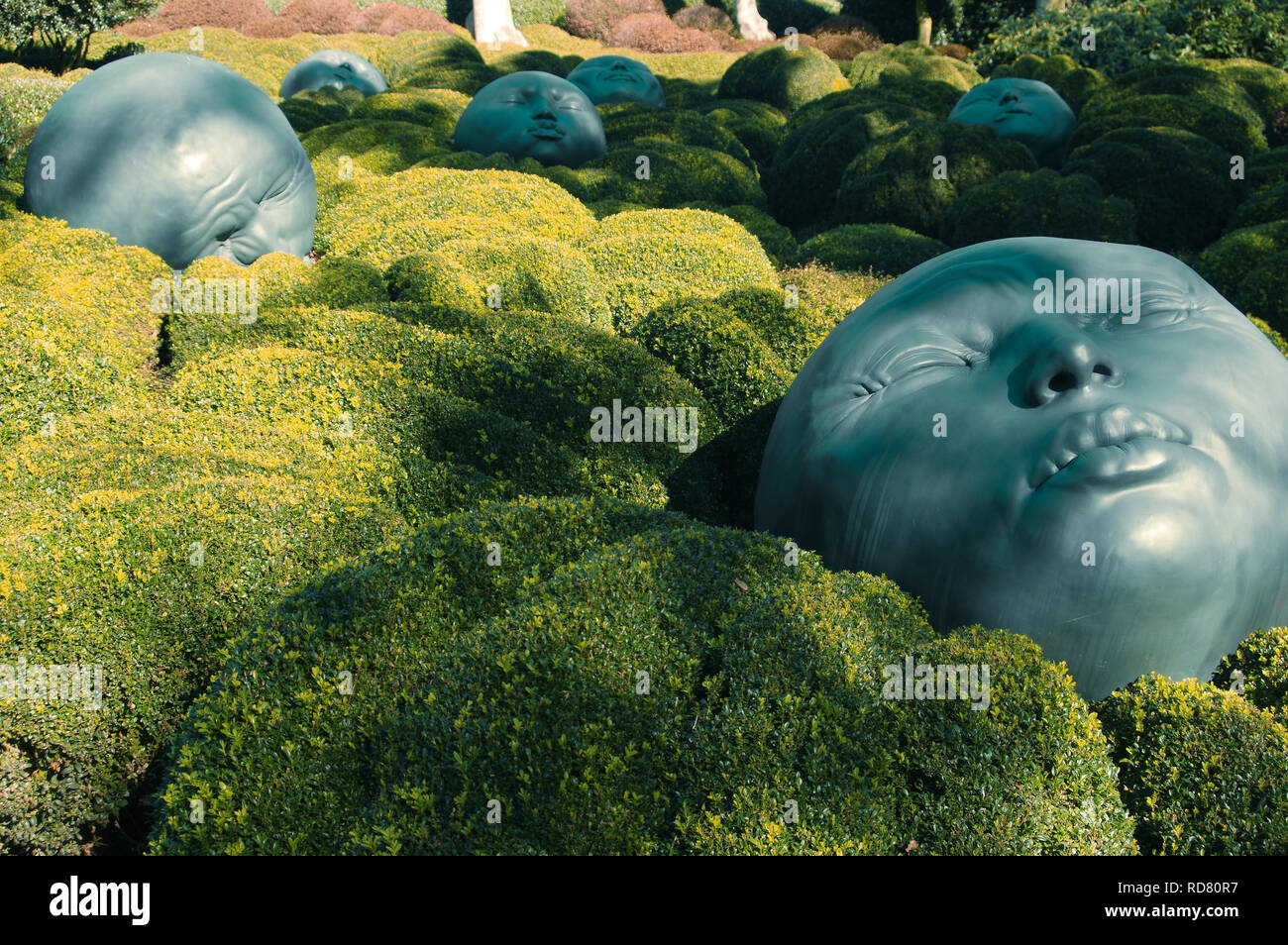 ETRETAT, FRANCE - the world famous gardens of etretat with faces ...