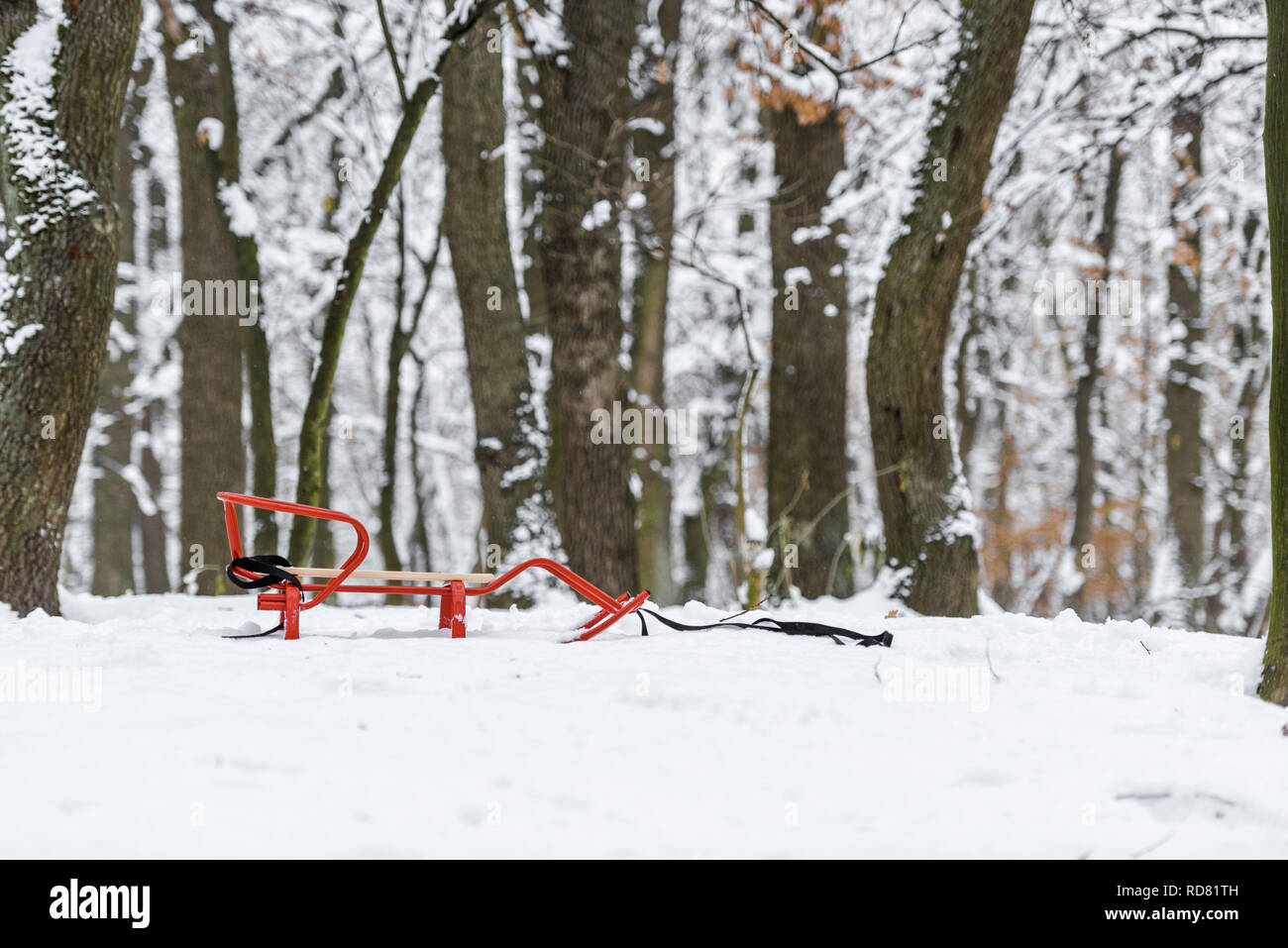 red sledge on snow in winter park Stock Photo - Alamy
