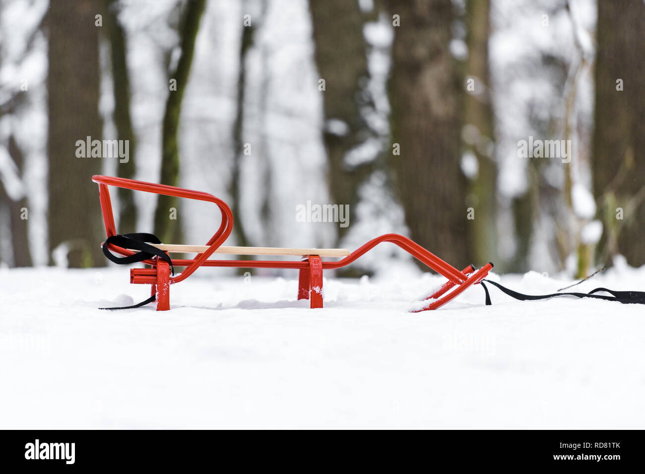 red sledge on snow with trees at background Stock Photo - Alamy