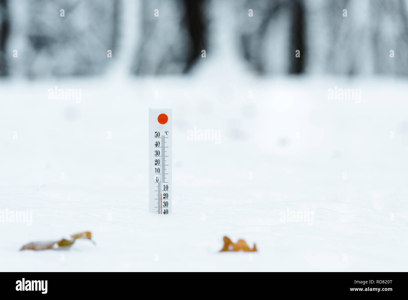 thermometer showing temperature outside in winter forest Stock Photo ...