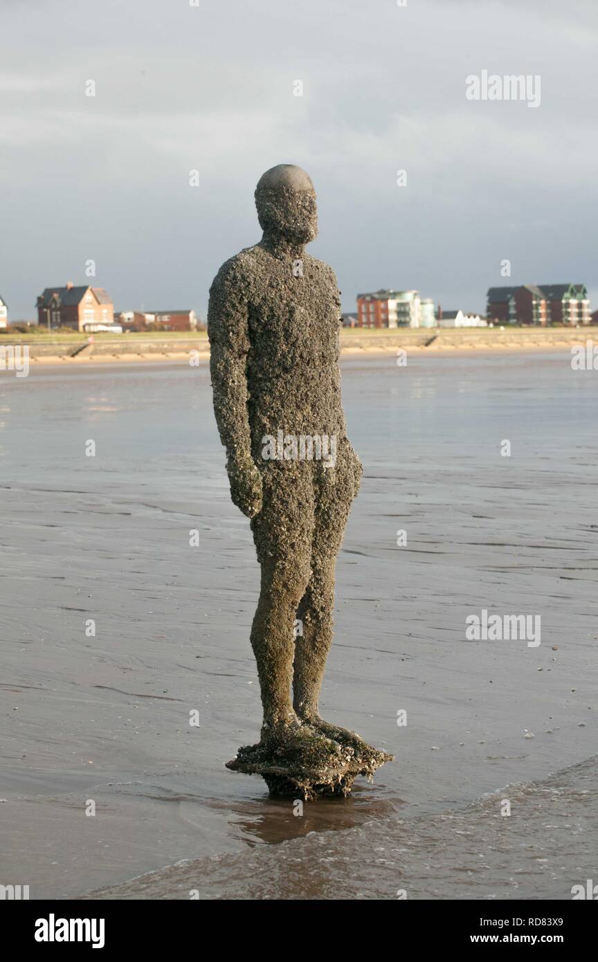 sIR Antony Gormley's sculpted figures silouhetted at sunset in ...
