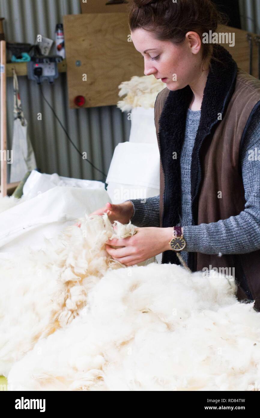 Sorting and grading wool for process of spinning for commercial use in ...