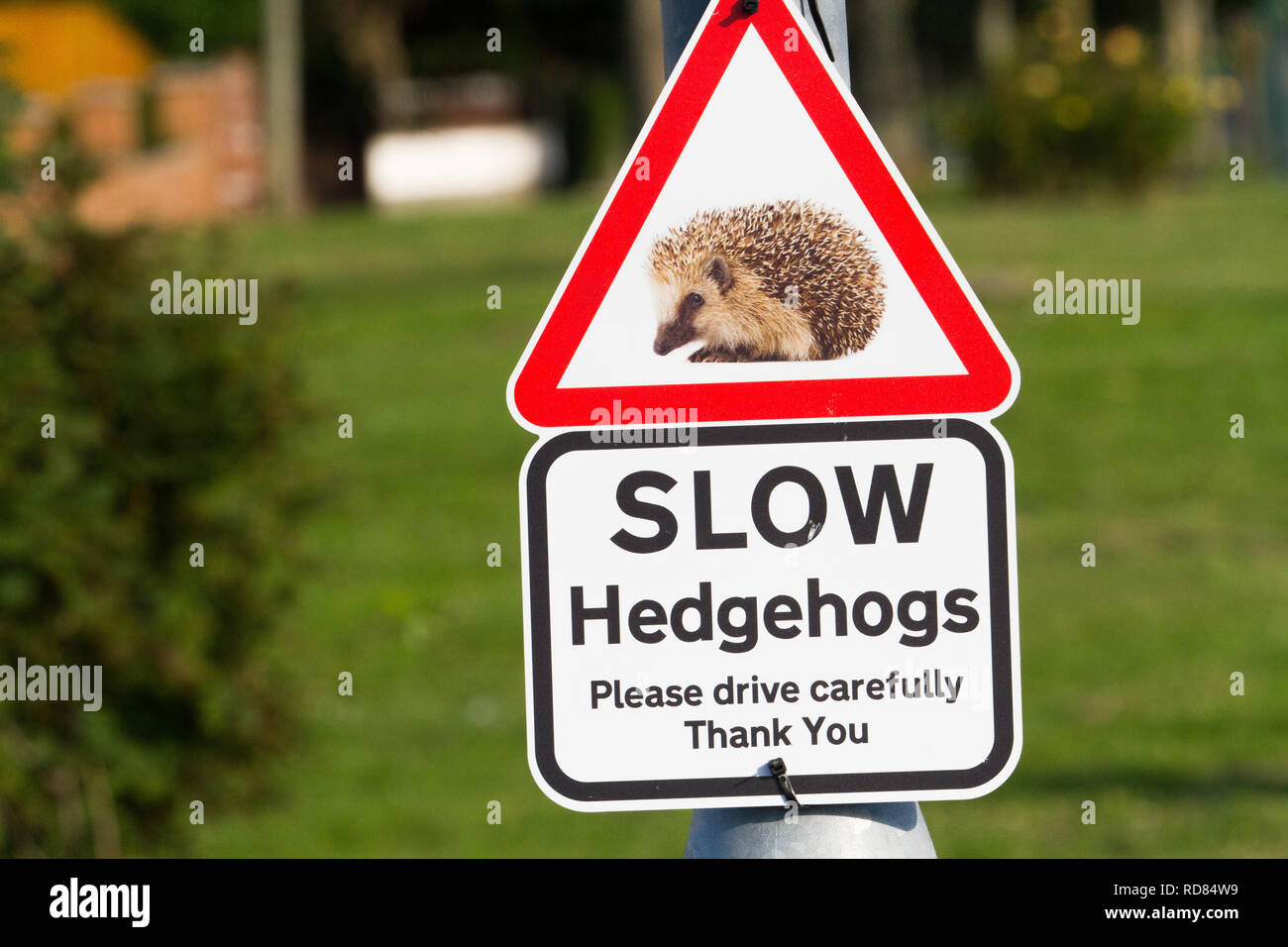 Hedgehog warning sign hi-res stock photography and images - Alamy
