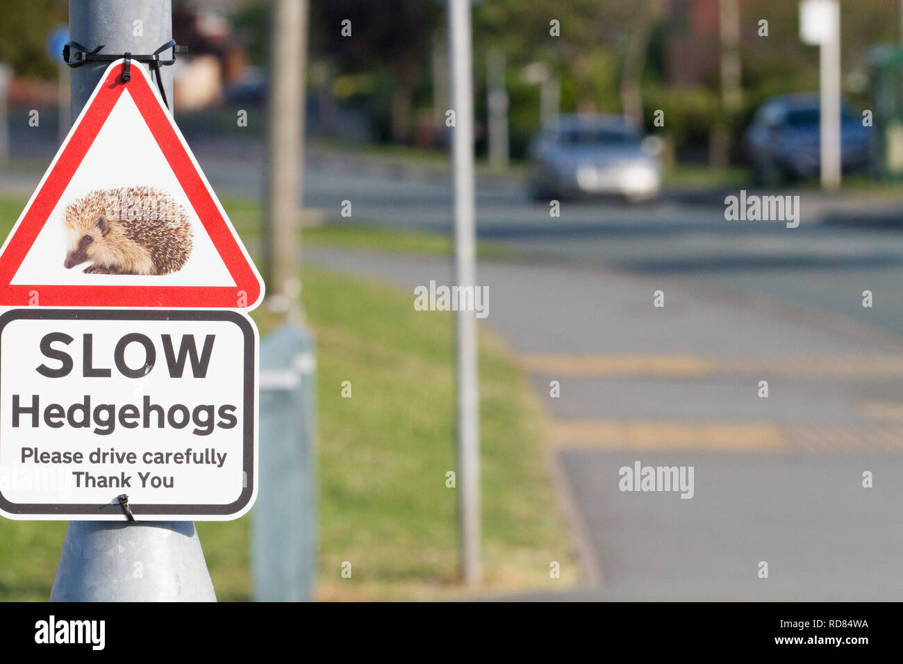 Hedgehog Road Warning Signs at James Silvers blog