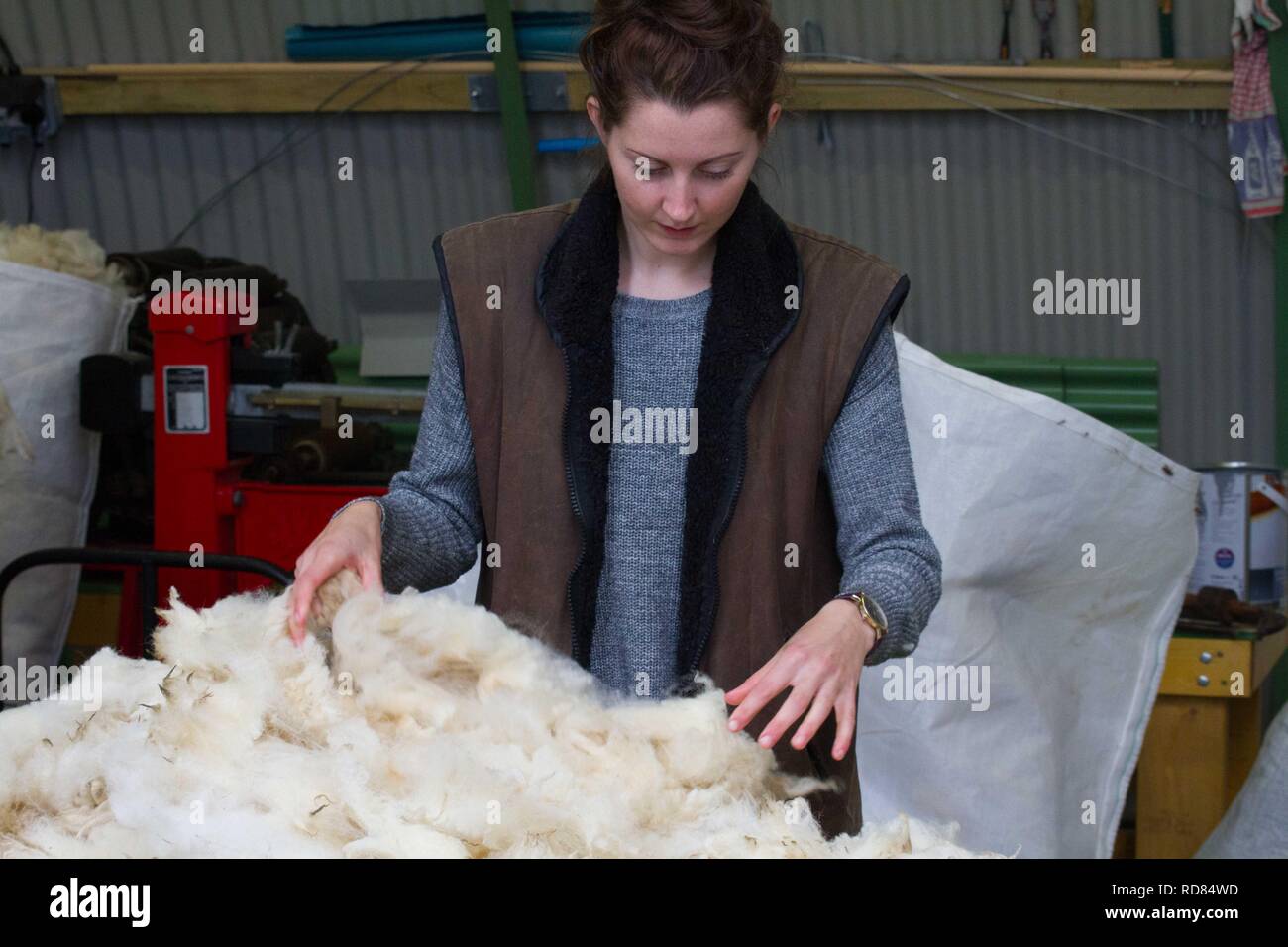 Sorting weed hi-res stock photography and images - Alamy
