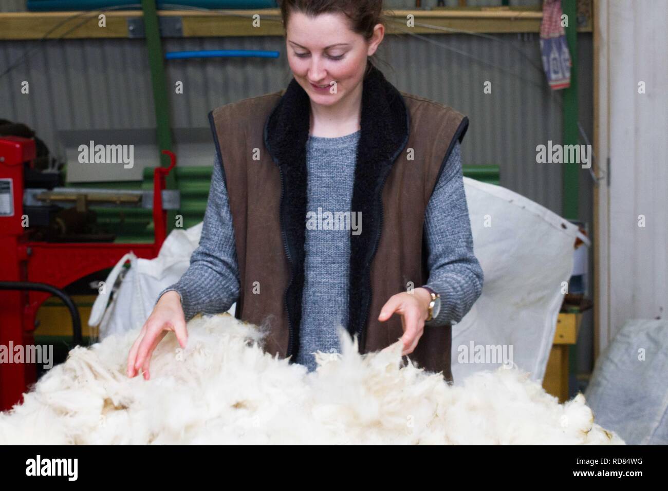 Sorting and grading wool for process of spinning for commercial use in ...