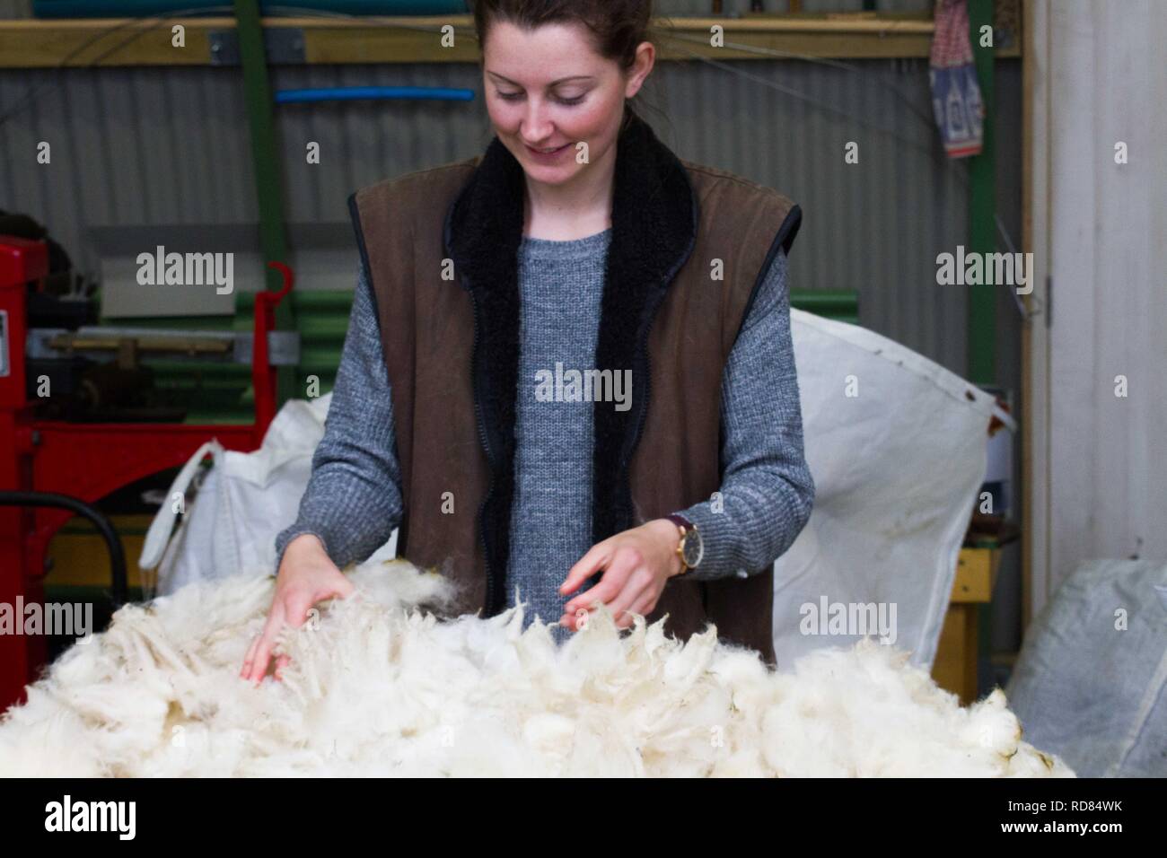 Sorting and grading wool for process of spinning for commercial use in ...