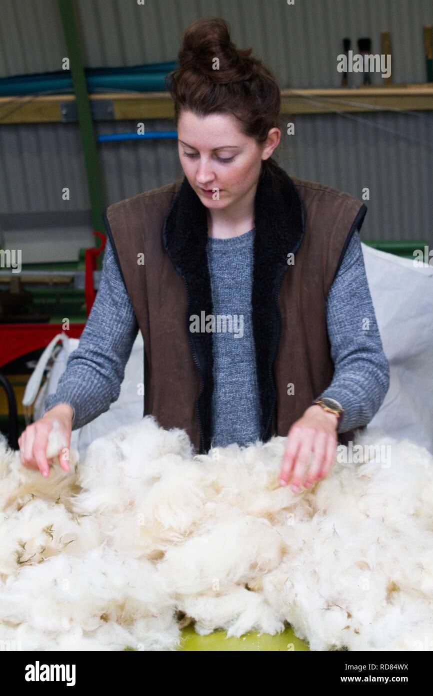 Sorting and grading wool for process of spinning for commercial use in ...