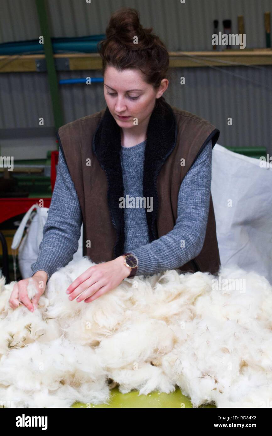 Sorting and grading wool for process of spinning for commercial use in ...