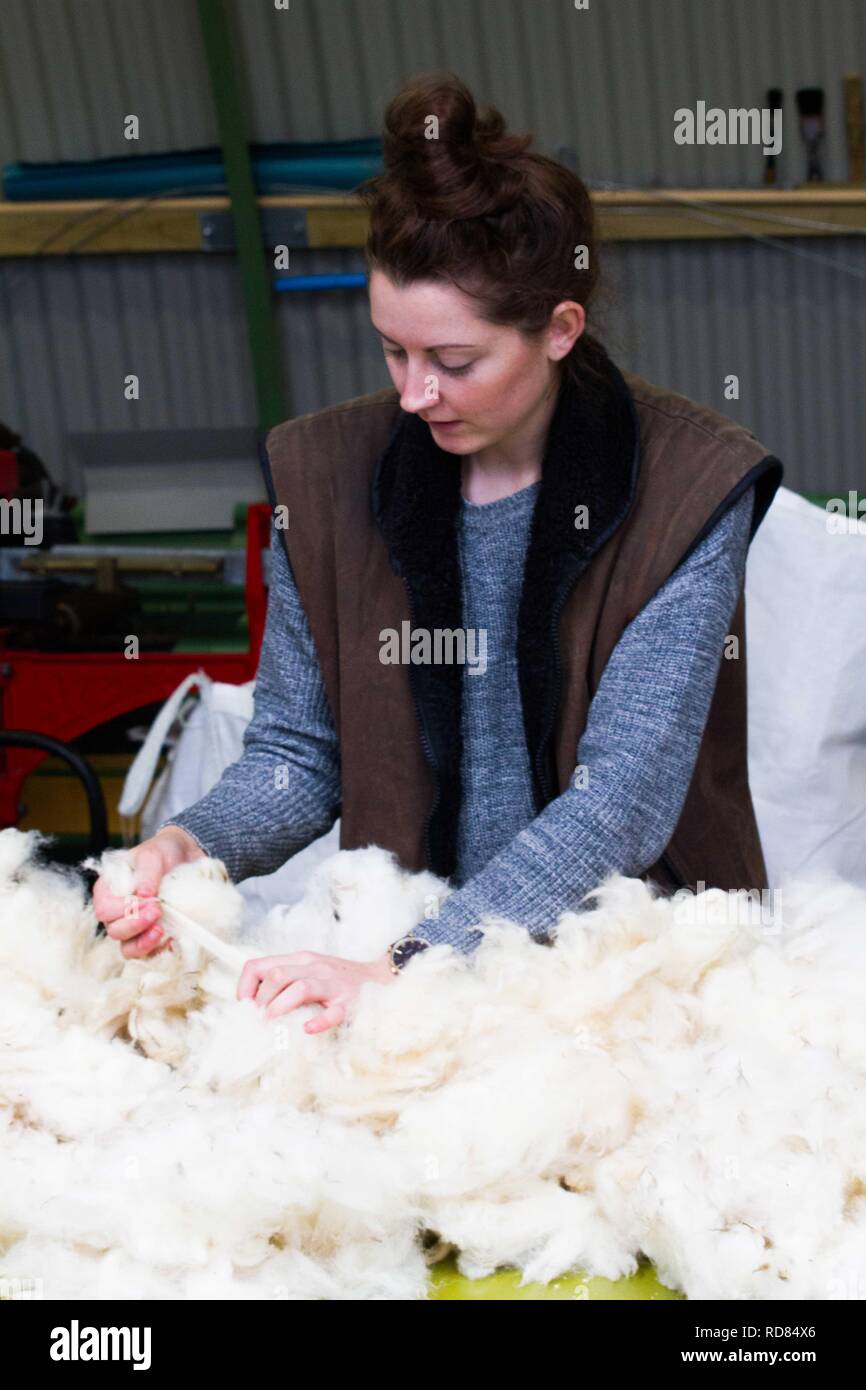 Sorting and grading wool for process of spinning for commercial use in ...