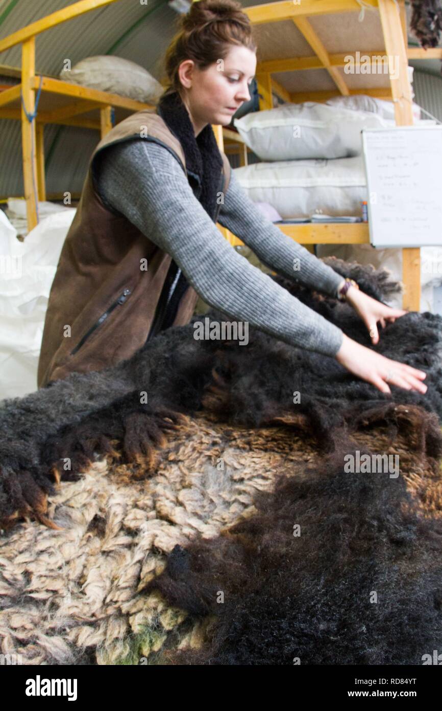 Sorting and grading wool for process of spinning for commercial use in ...