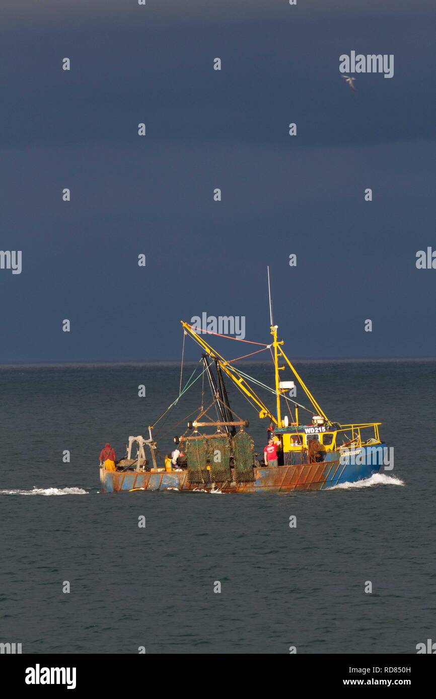 Inshore trawler in shallow coastal sea fishing for arine life which may ...