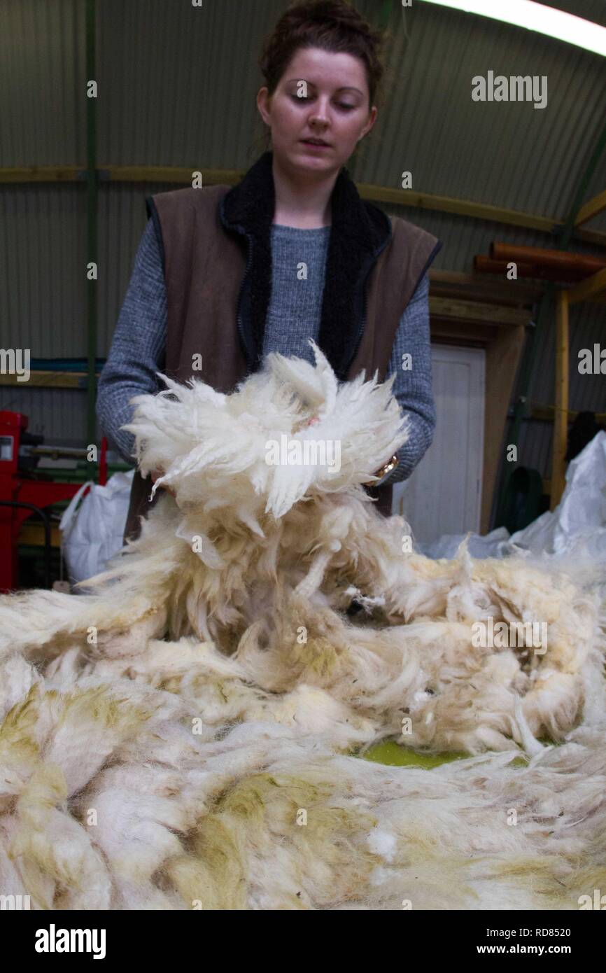 Wool Sorting Shed High Resolution Stock Photography and Images - Alamy