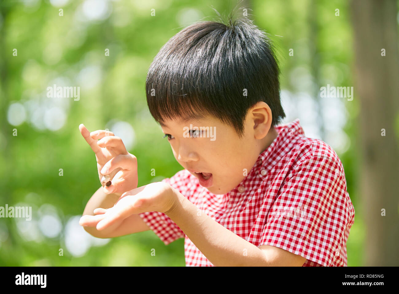Sister japanese running hi-res stock photography and images - Alamy