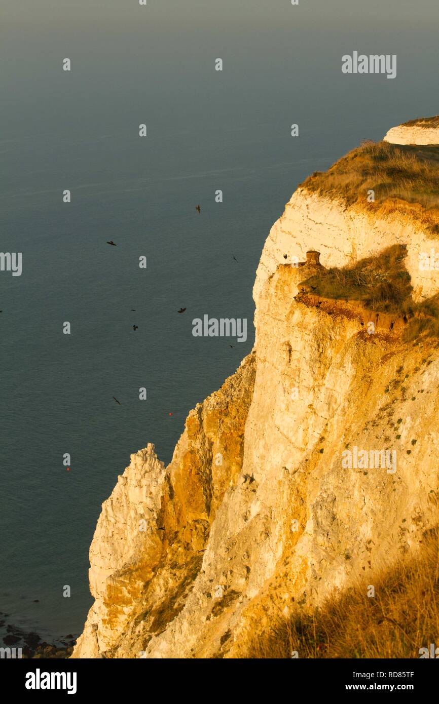 Beachy Head chalk cliffs at sunrise with person for scale .Site of ...