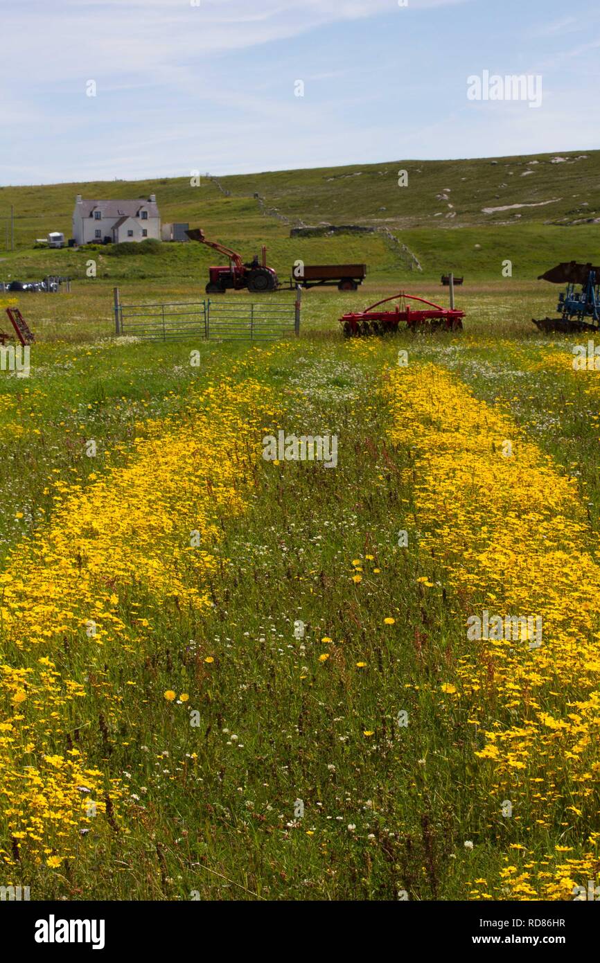 Crofting land scottish natural heritage hi-res stock photography and ...