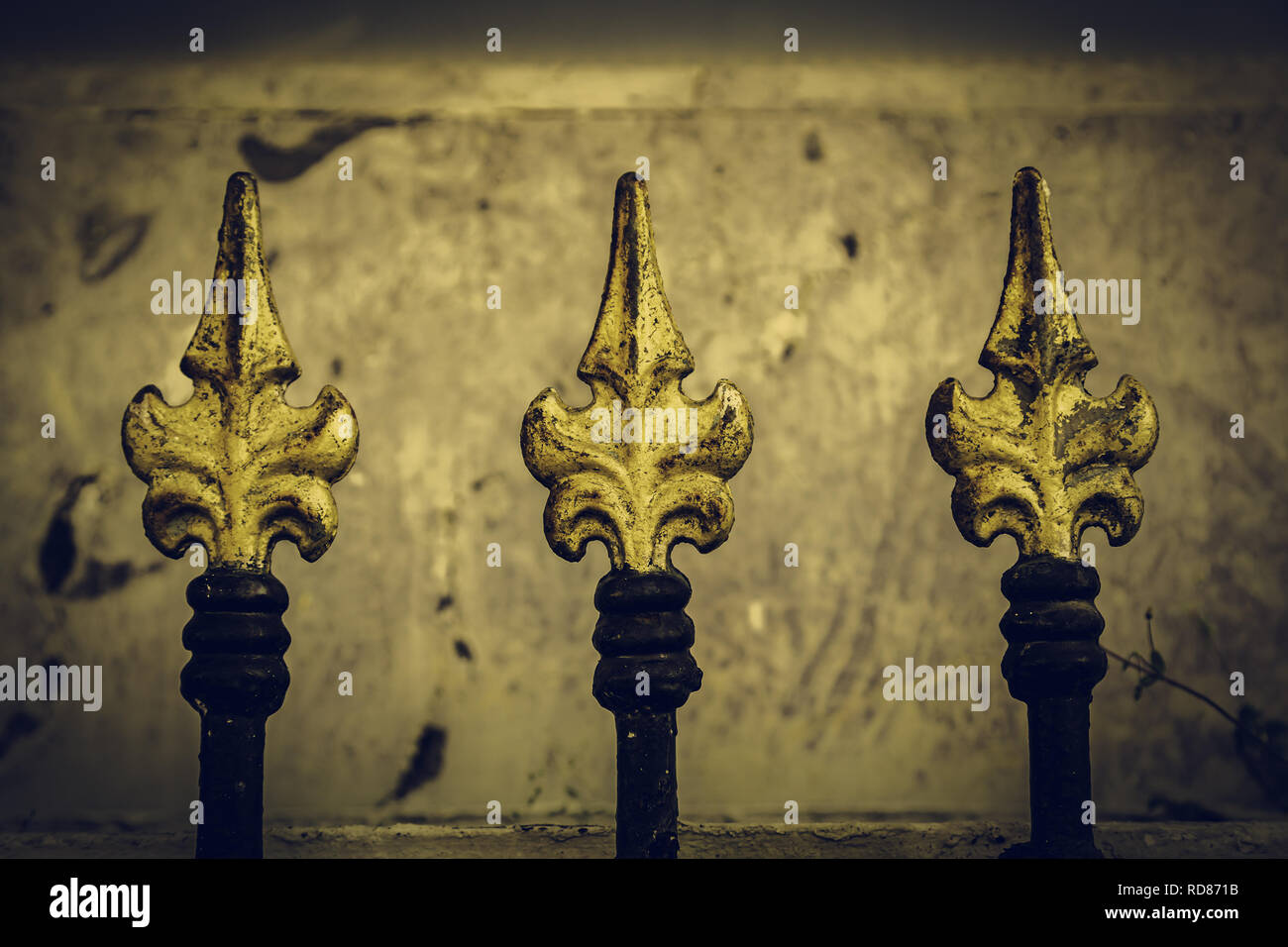 Ornamental gold wrought iron gates hi-res stock photography and images ...