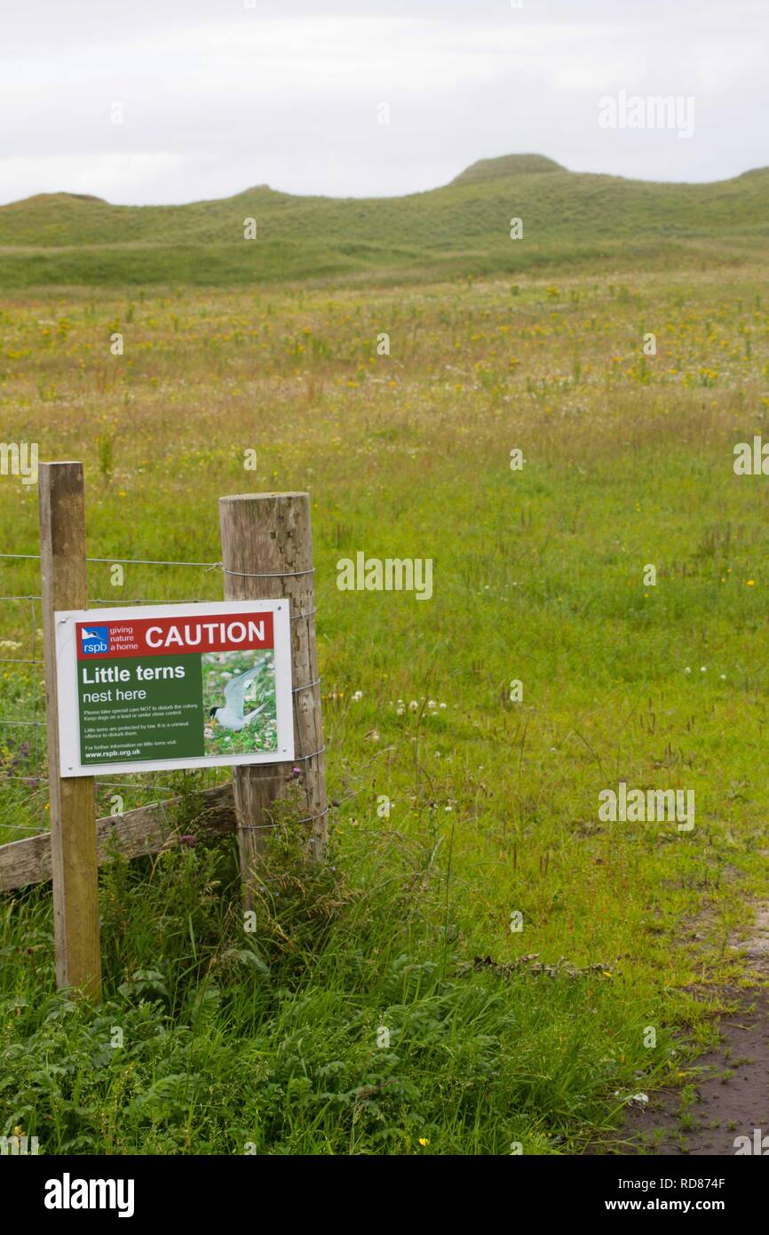 Birds nesting warning sign on hi-res stock photography and images - Alamy