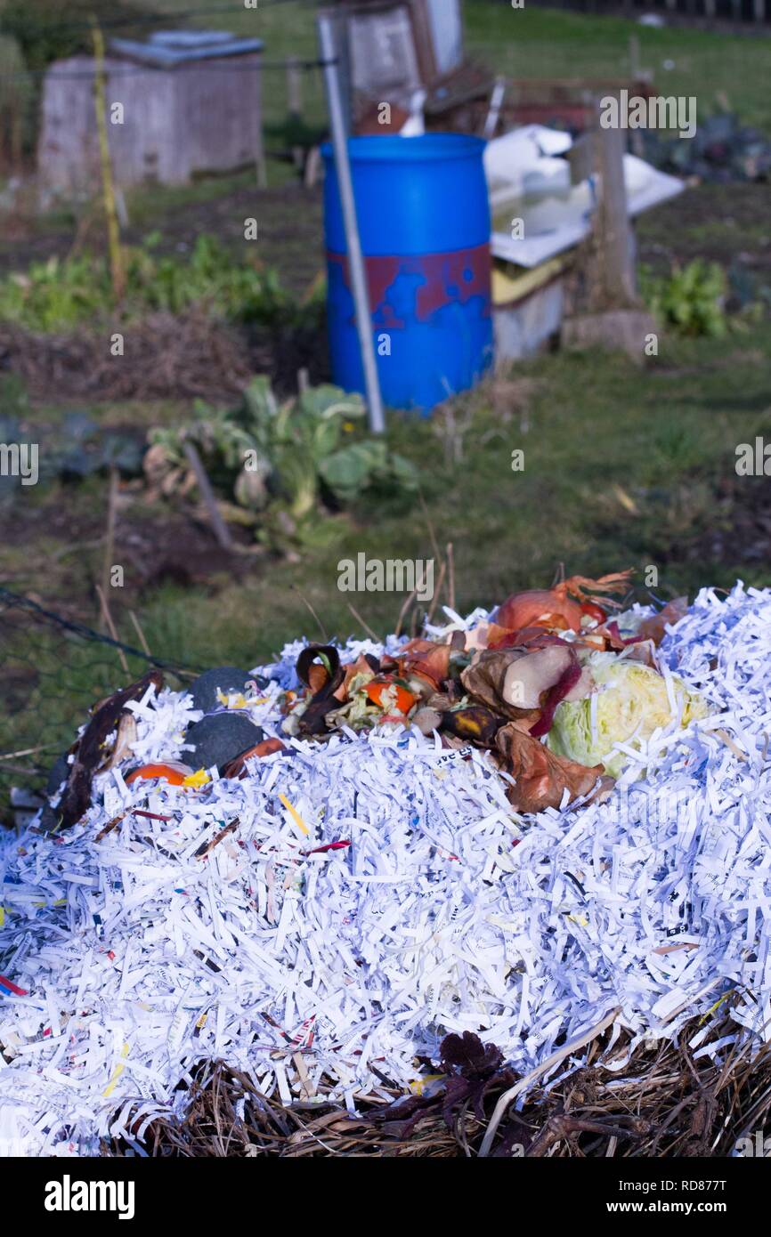 Compost heap with rotting vegetables and shreddedpaper enabling ...