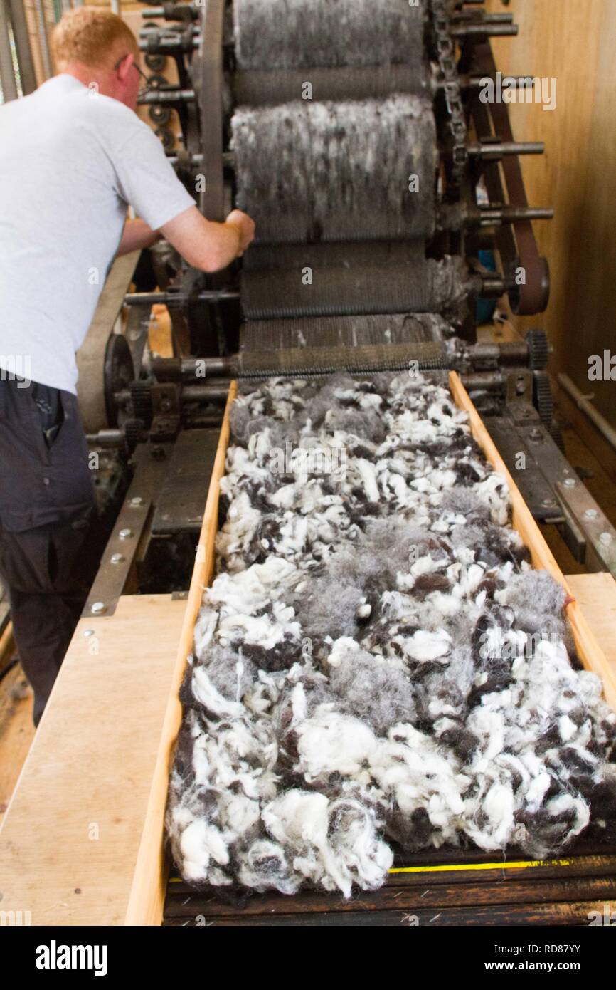 Local skillerd labour carding and sorting wool products prior to it ...