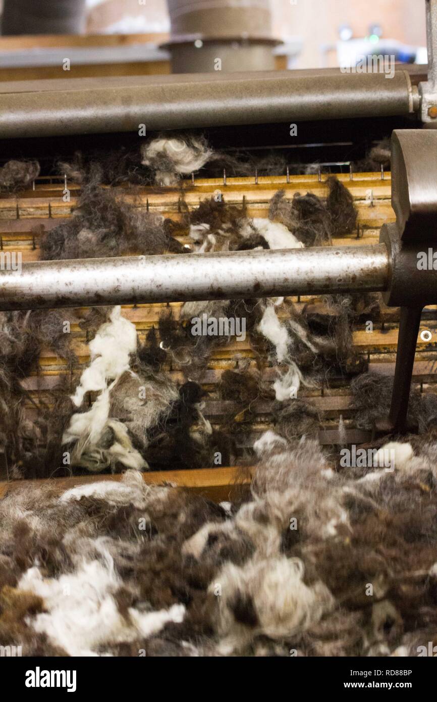 Sorting macj hine for wool hi-res stock photography and images - Alamy
