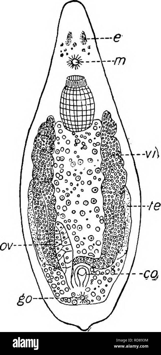 how to draw water into the colon