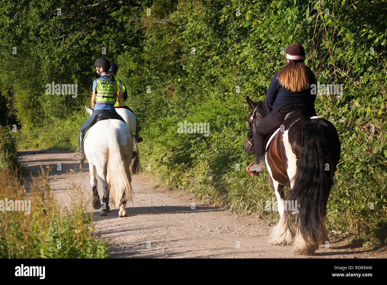 Horse riders riding through woodland , Knepp Rewilding estate ...
