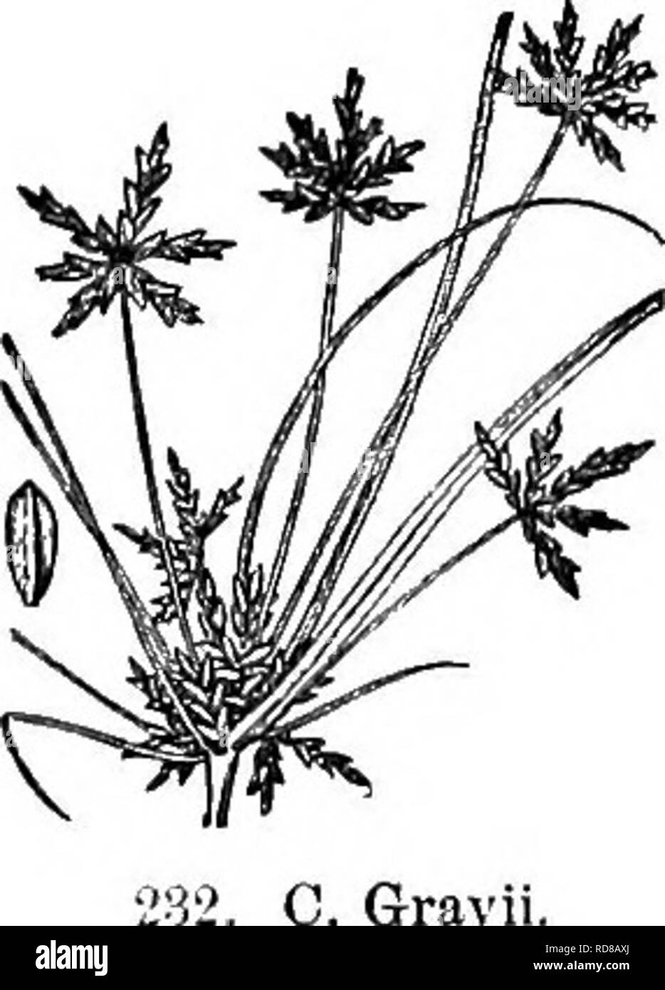 5 40 mm diameter hi-res stock photography and images - Alamy