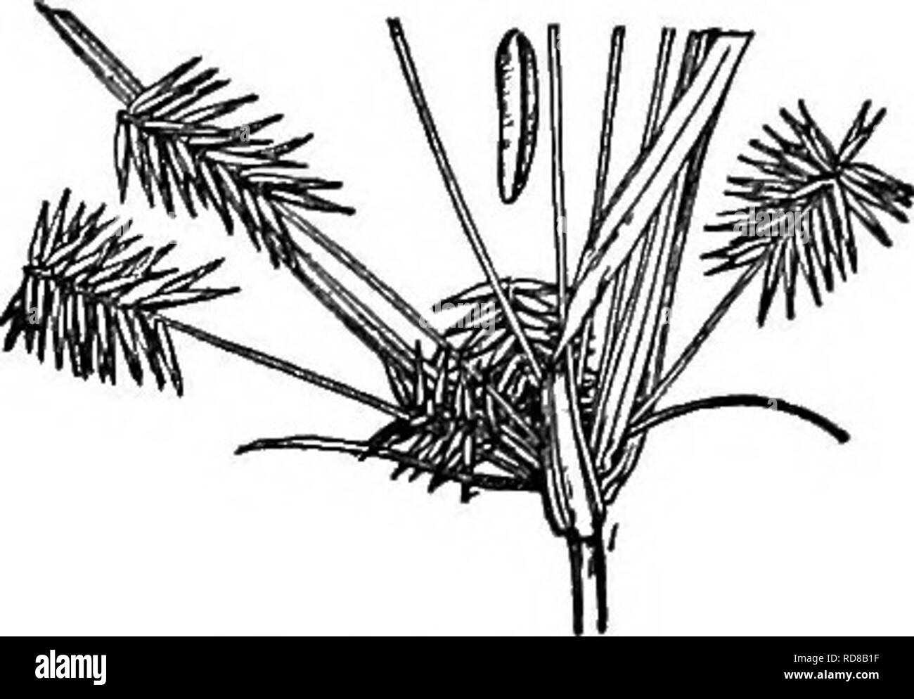 224 6 cm hi-res stock photography and images - Alamy