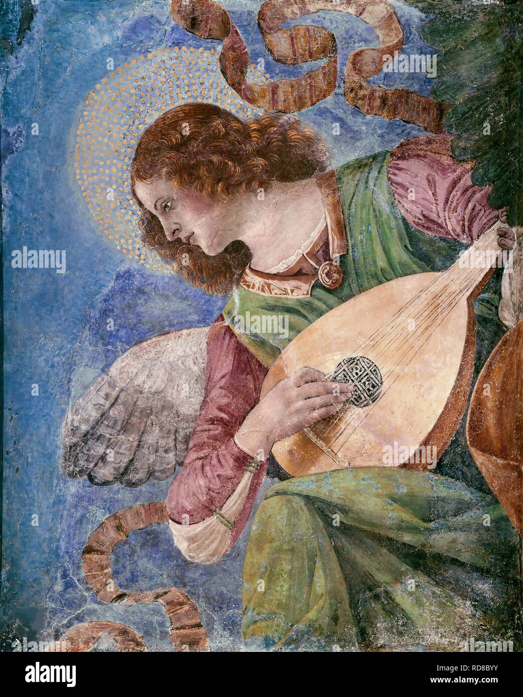 Musician angel. Museum: Pinacoteca Vaticana, Rome. Author: MELOZZO DA FORLI Stock Photo - Alamy