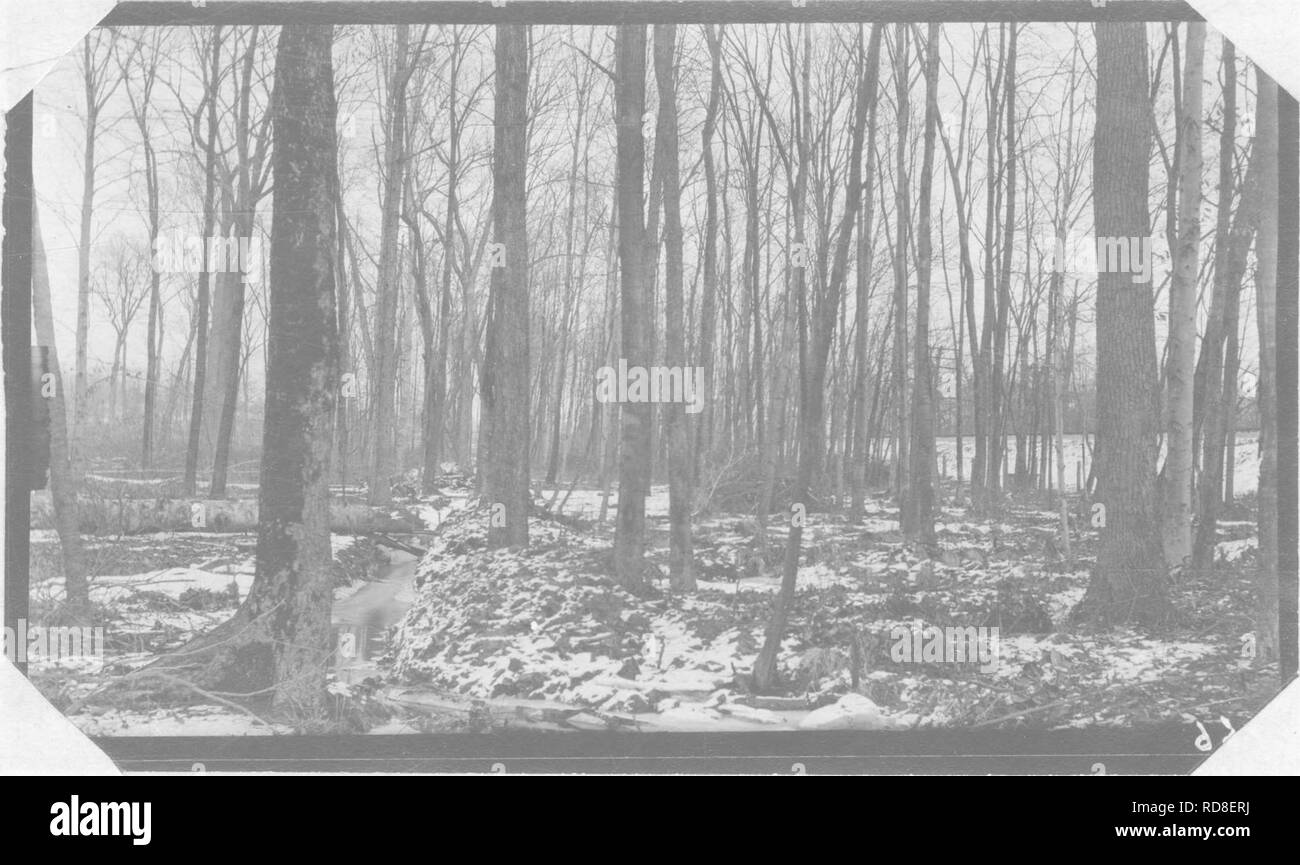 . Railroad forest fire protection. Forest fires; Fire prevention; Fire ...