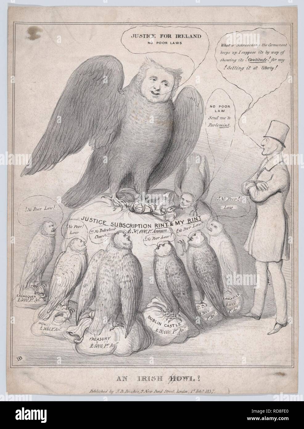 An Irish Howl -Owl Stock Photo - Alamy