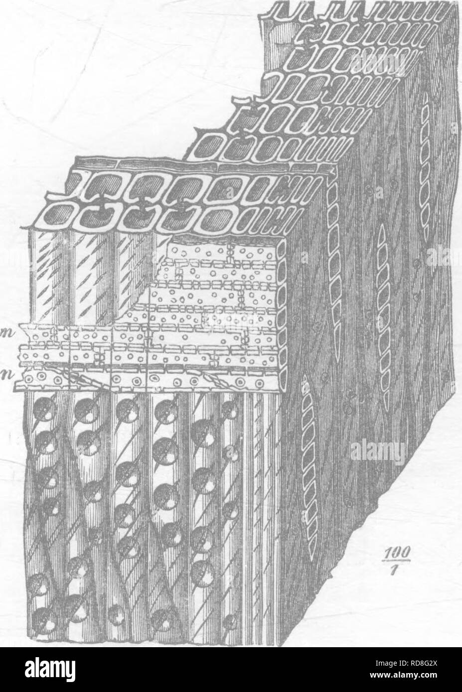 Prism walls hi-res stock photography and images - Alamy